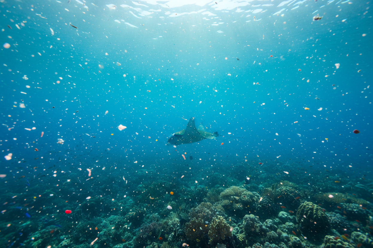 Una 14enne inventa un gel che elimina le microplastiche dall’acqua ...